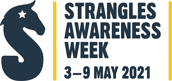 Strangles Awareness Week returns for 2021! | Redwings Horse Sanctuary